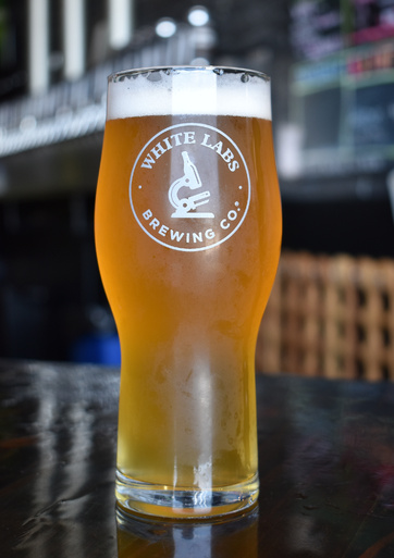 Tips From The Pitch: Non/Low Alcoholic Beers