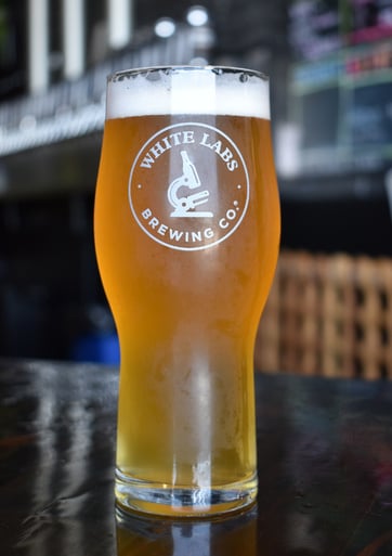 Tips From The Pitch: Non/Low Alcoholic Beers